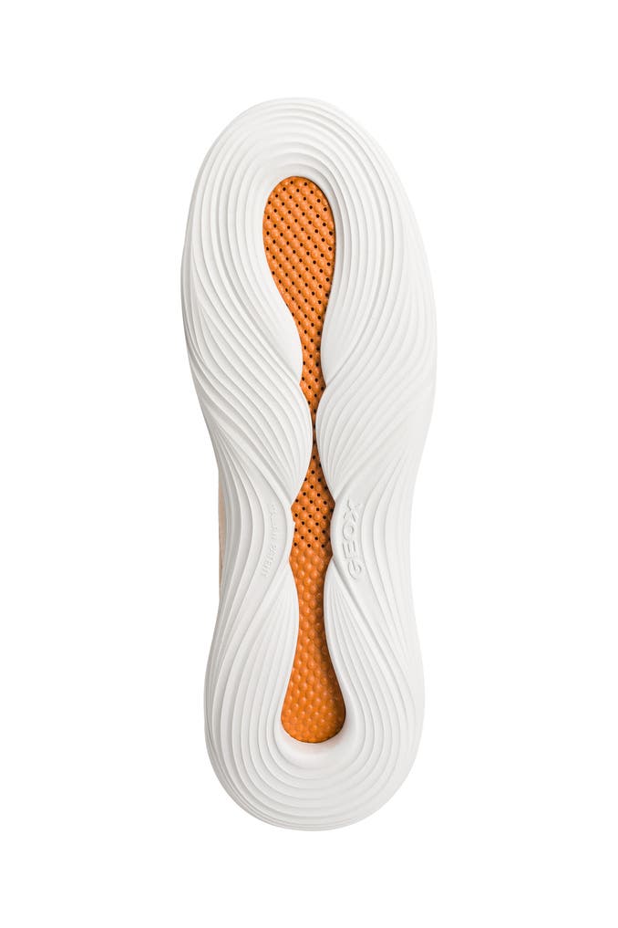 GEOX Ledersneaker 'Fluctis' altrosa » günstig online kaufen