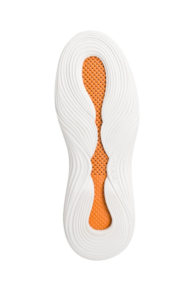 GEOX Sneaker 'Fluctis' graugrün » günstig online kaufen | Outletcity