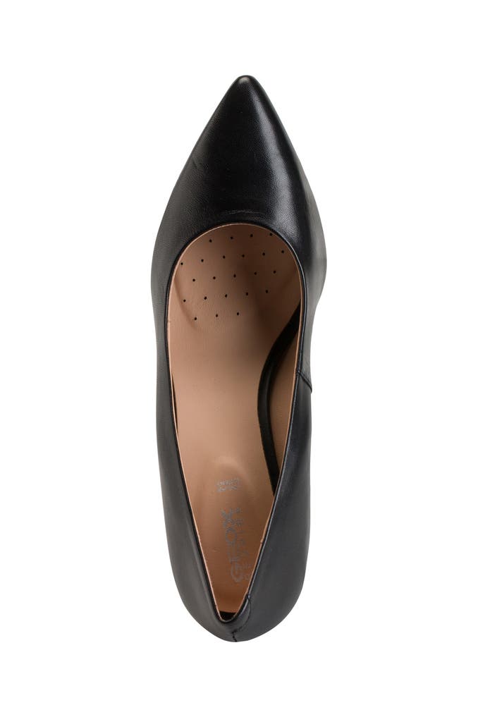 GEOX Pumps 'Bibbiana' schwarz » günstig online kaufen | Outletcity